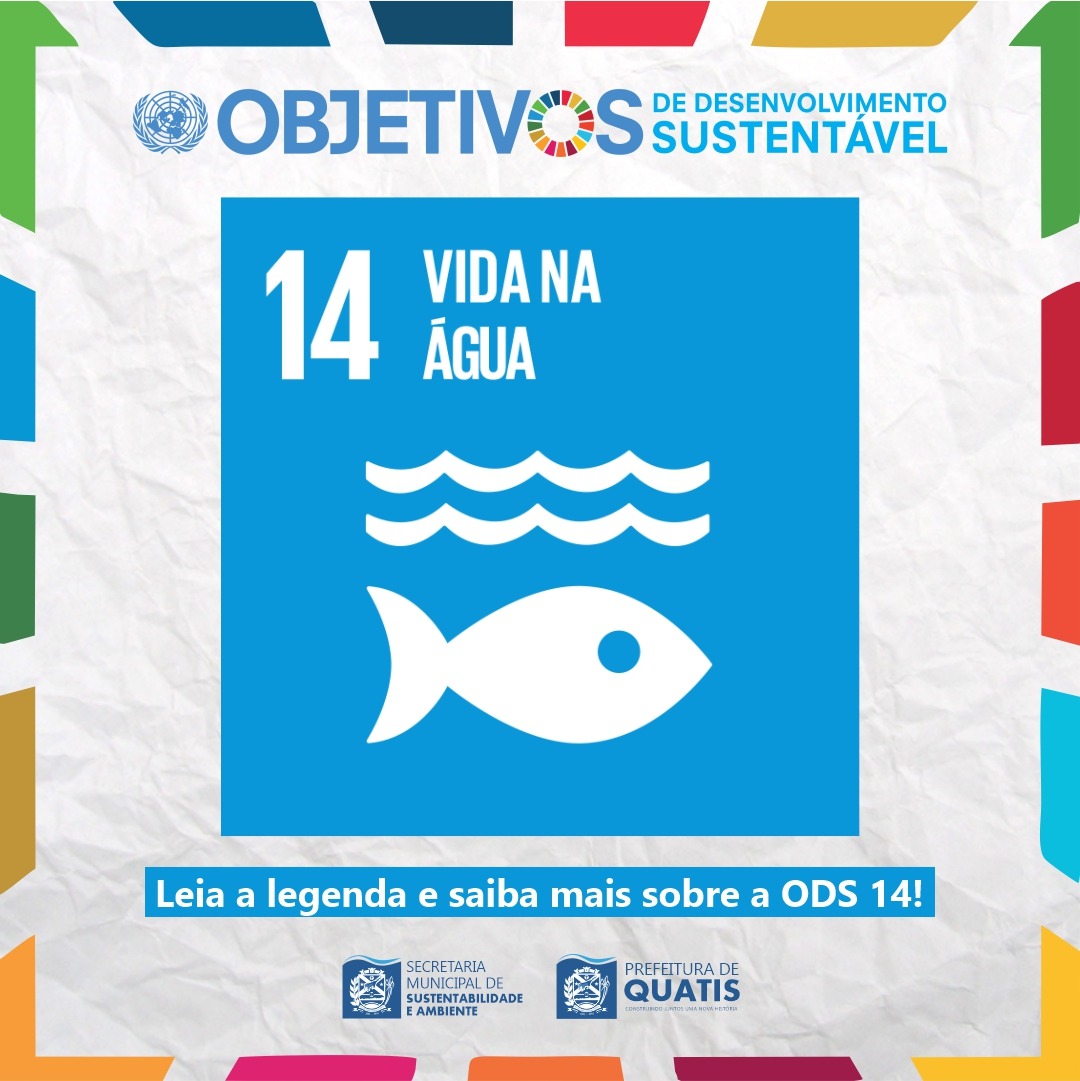 17 OBJETIVOS DO DESENVOLVIMENTO SUSTENTÁVEL (ODS) – Prefeitura ...