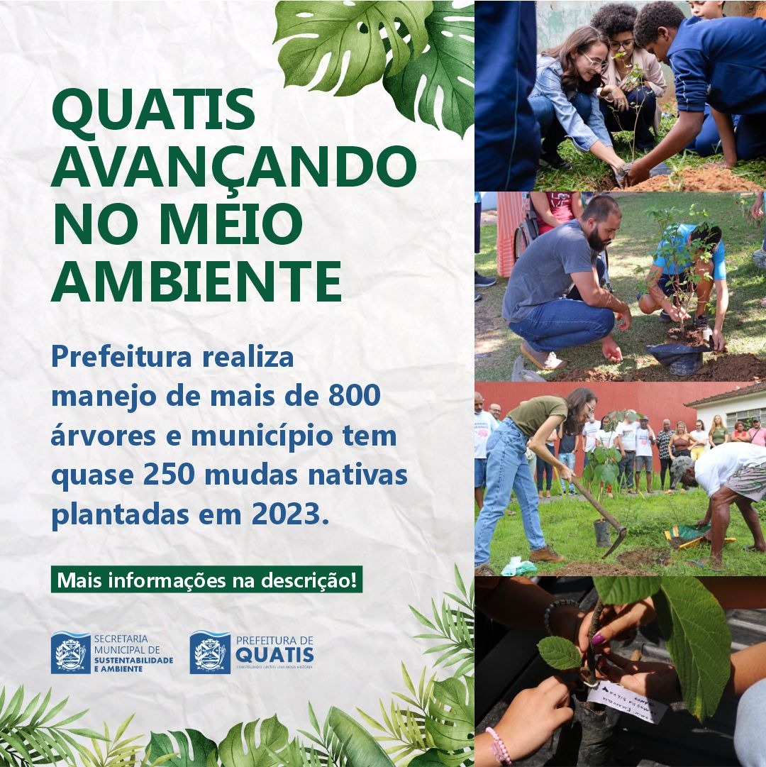 PREFEITURA DE QUATIS REALIZA MANEJO DE MAIS DE 800 ÁRVORES E MUNICÍPIO ...