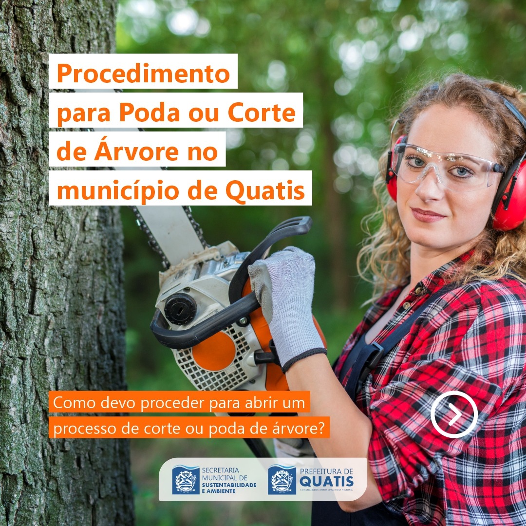 VOCÊ SABE COMO FUNCIONA O PROCESSO LEGAL DE PODA OU CORTE DE ÁRVORE NO ...